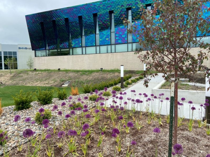 STAR & DEVELOPMENT UNITY POINT - Millennium Forms