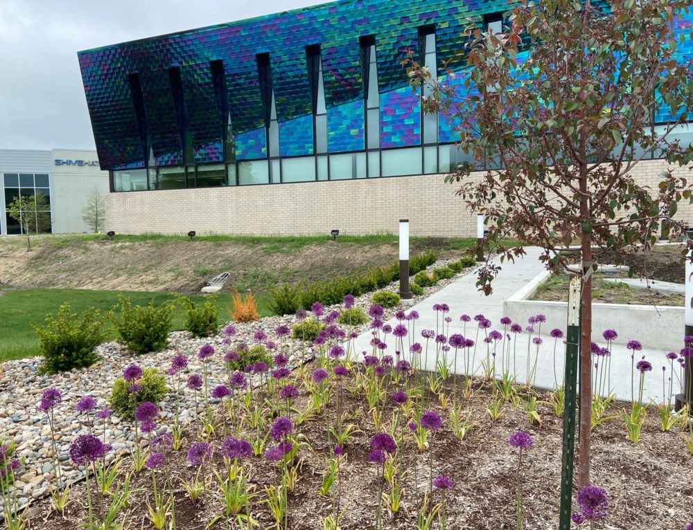 Christ Church Grammar School - Millennium Forms