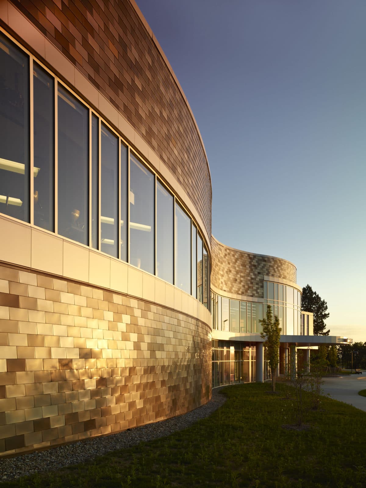 Stamped Millennium Tiles - Millennium Forms